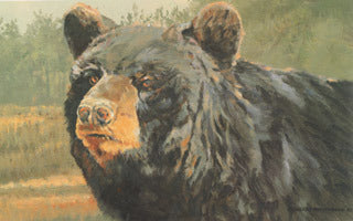 H-78 Black Bear – Charles Beckendorf Gallery